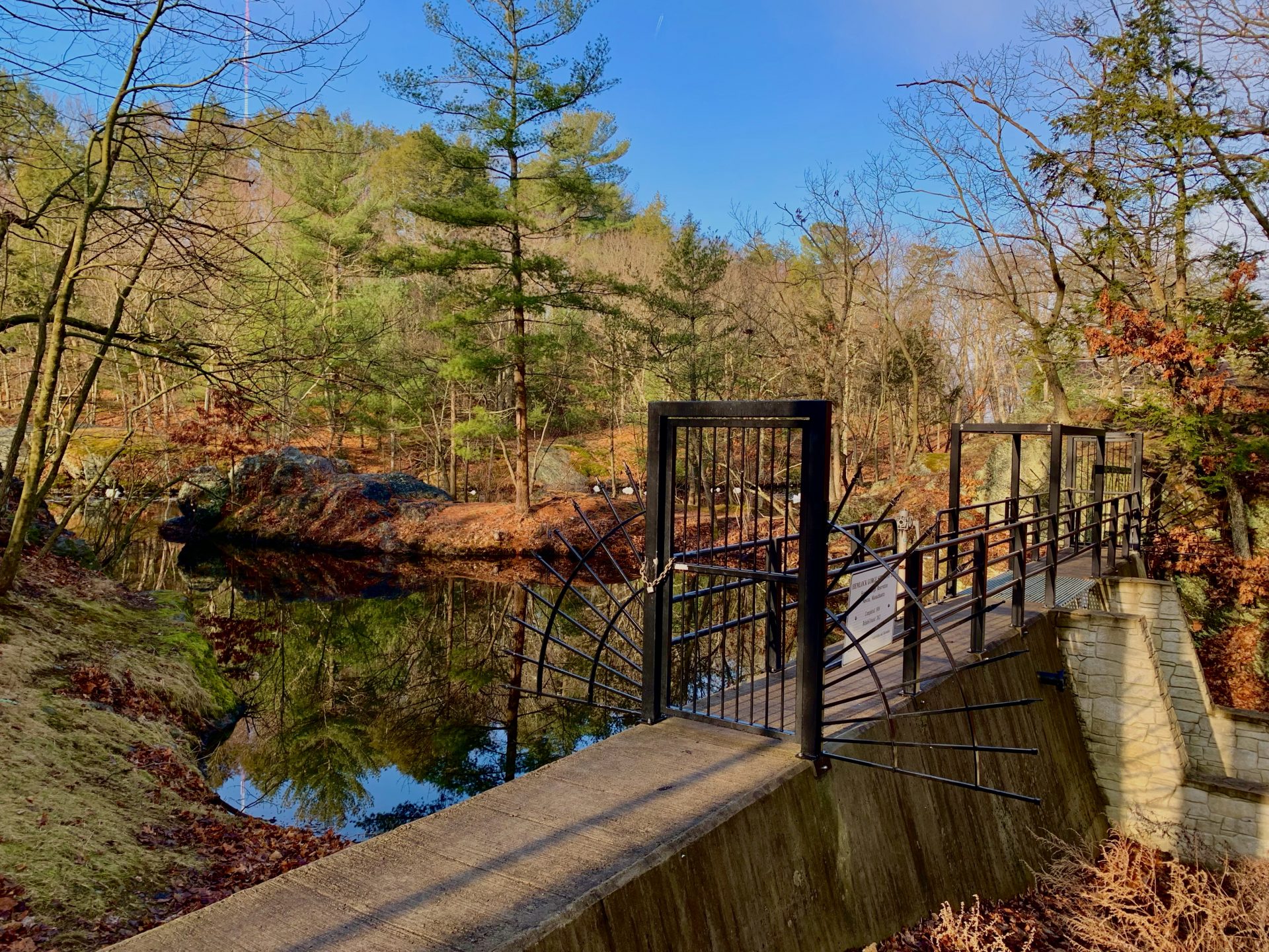 The Swellesley Report - More than you really want to know about ...