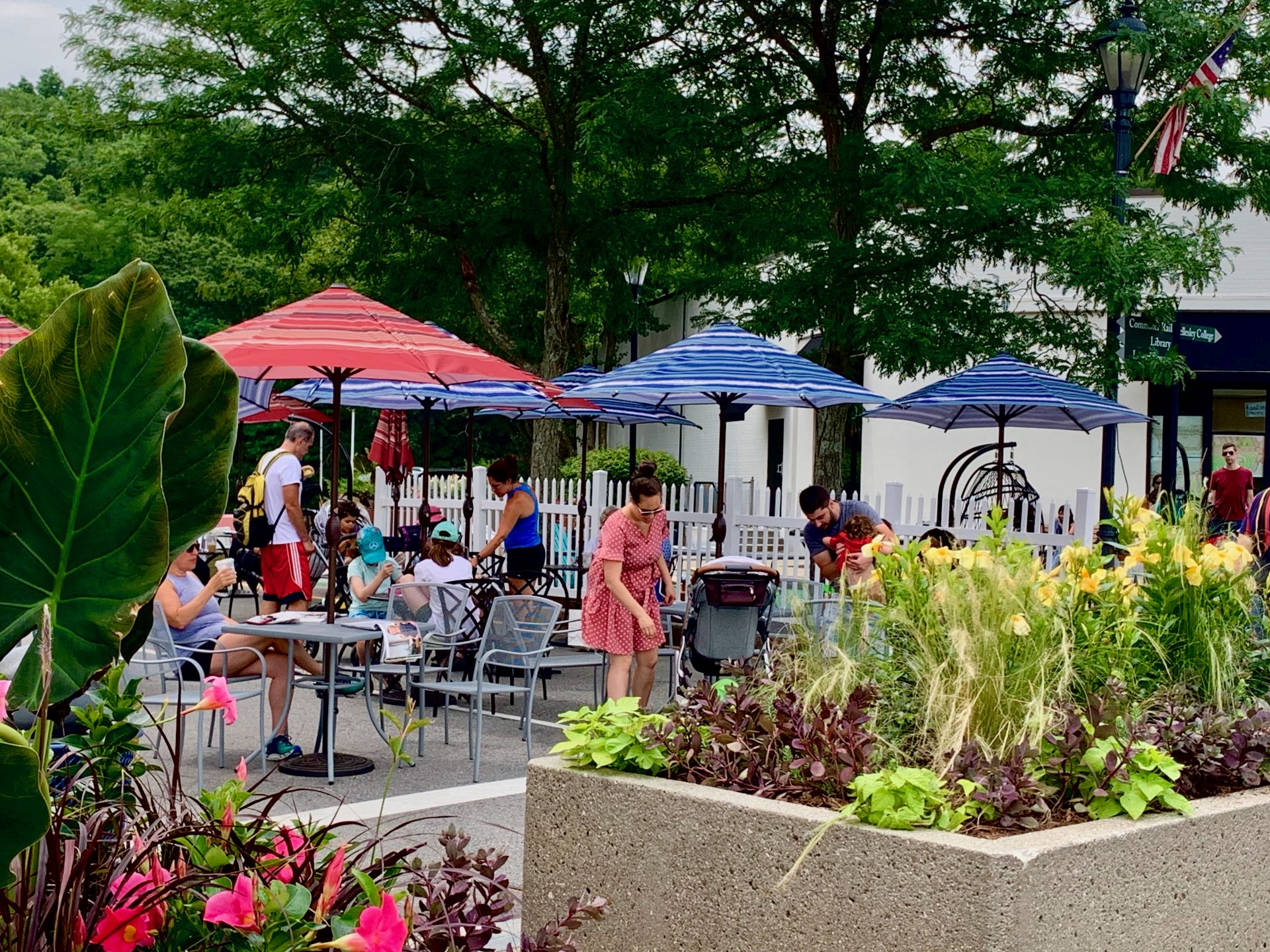 The Swellesley Report - Page 2 of 1685 - More than you really want to ...